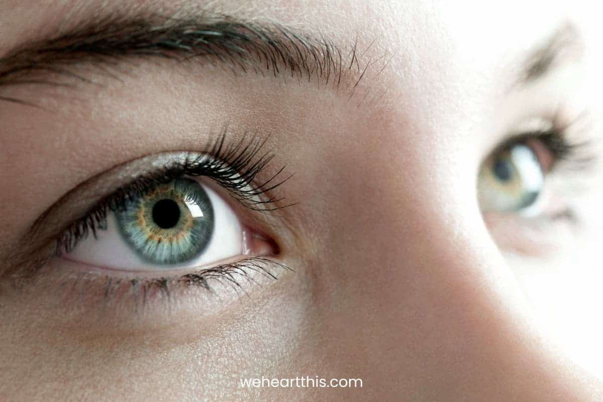 What Are the Different Types of Eyelids? How to Determine Yours + Easy ...