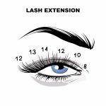 Cat Eyelash Extensions: Are They Perfect for Your Eye Shape?