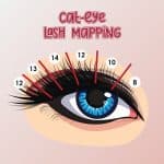 Cat Eyelash Extensions: Are They Perfect for Your Eye Shape?