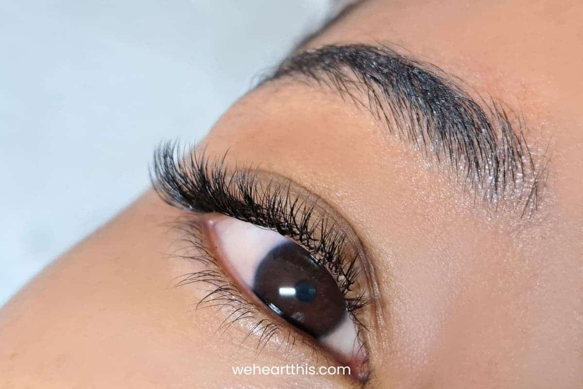 Cat Eyelash Extensions: Are They Perfect for Your Eye Shape?