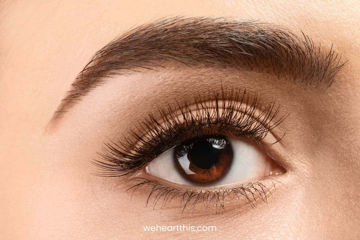 Cluster Lashes: Why You Should Avoid It + Lash Alternatives