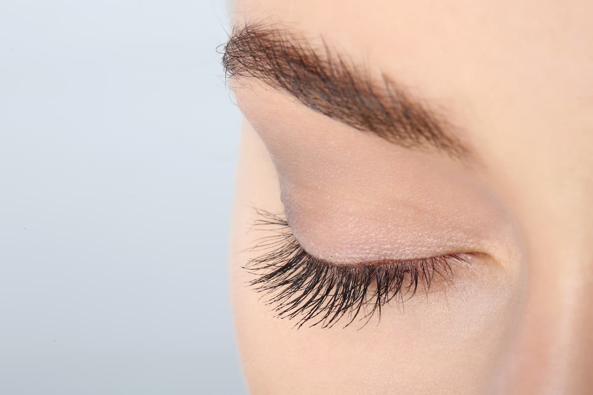 An Ultimate Guide To Lash Mapping For Beginners