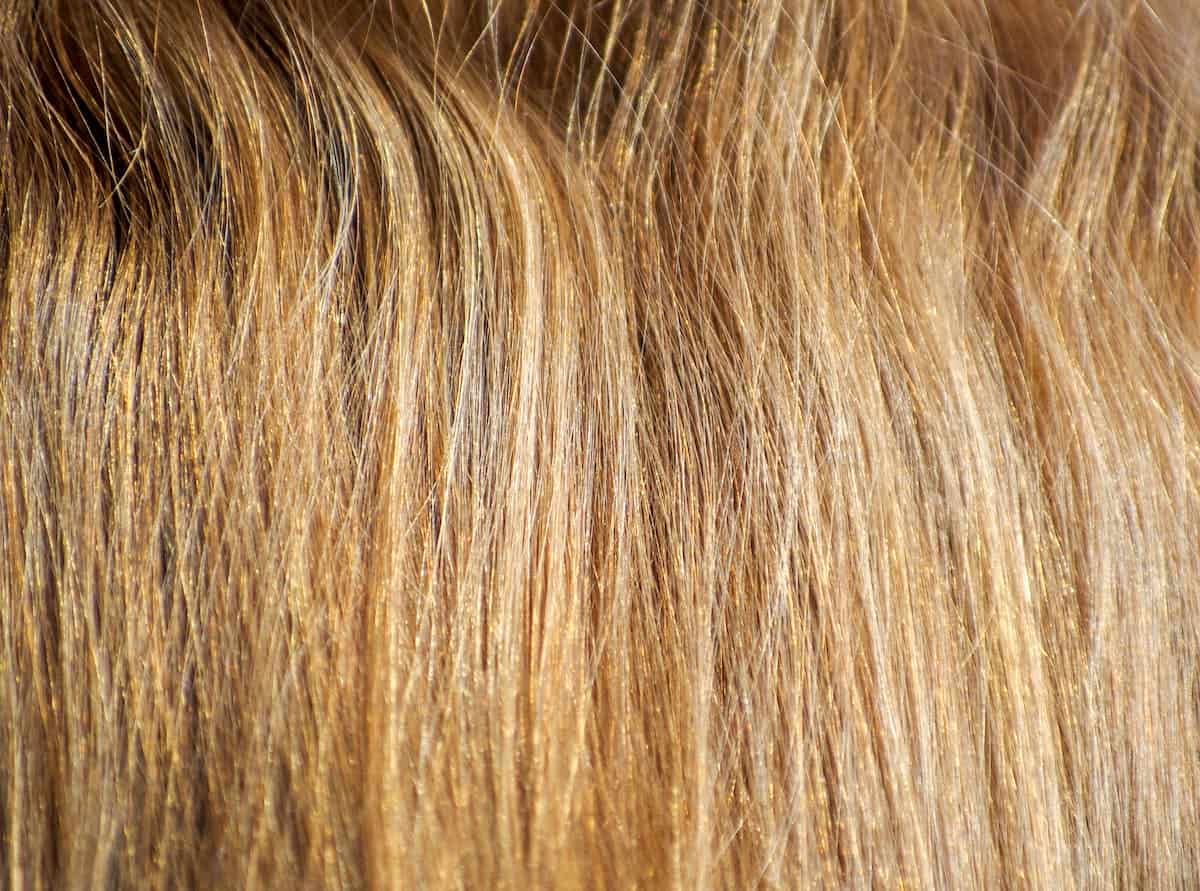 How to Fix Yellowing Hair Problems for Blonde and Gray Hair